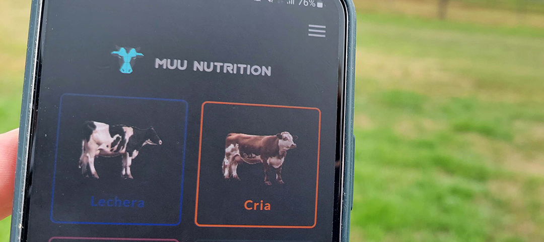 UNL | Nueva app que calcula alimentos de animales | todasantafe